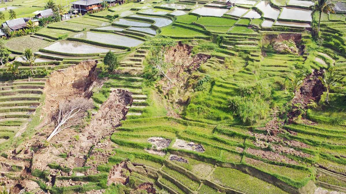 Beste reistijd Bali: seizoenen, klimaat en feestdagen - Het Andere Bali